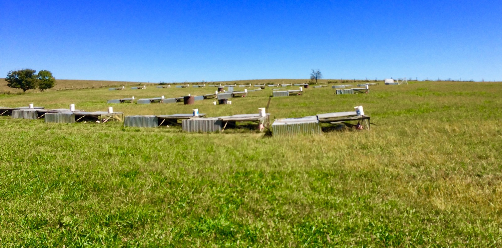 Who We Are - Pasture Raised Chicken, Poultry Farming & Processing