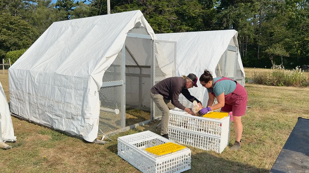 Farm to Freezer’s Family Approach to Poultry Processing